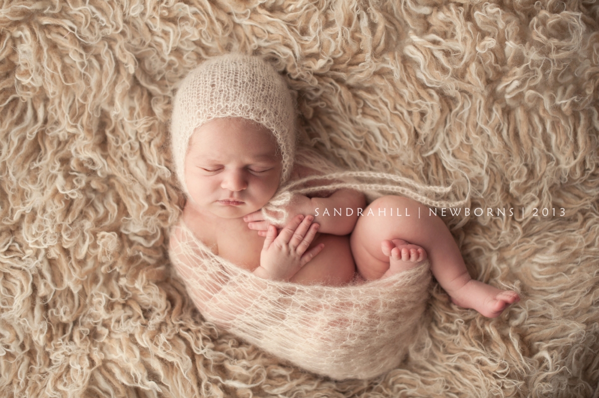 Hamilton Ontario Baby Photographer