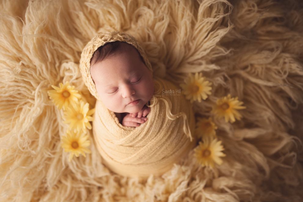 Hello Spring time! Brantford Ontario Newborn Photographer | Sandra Hill ...